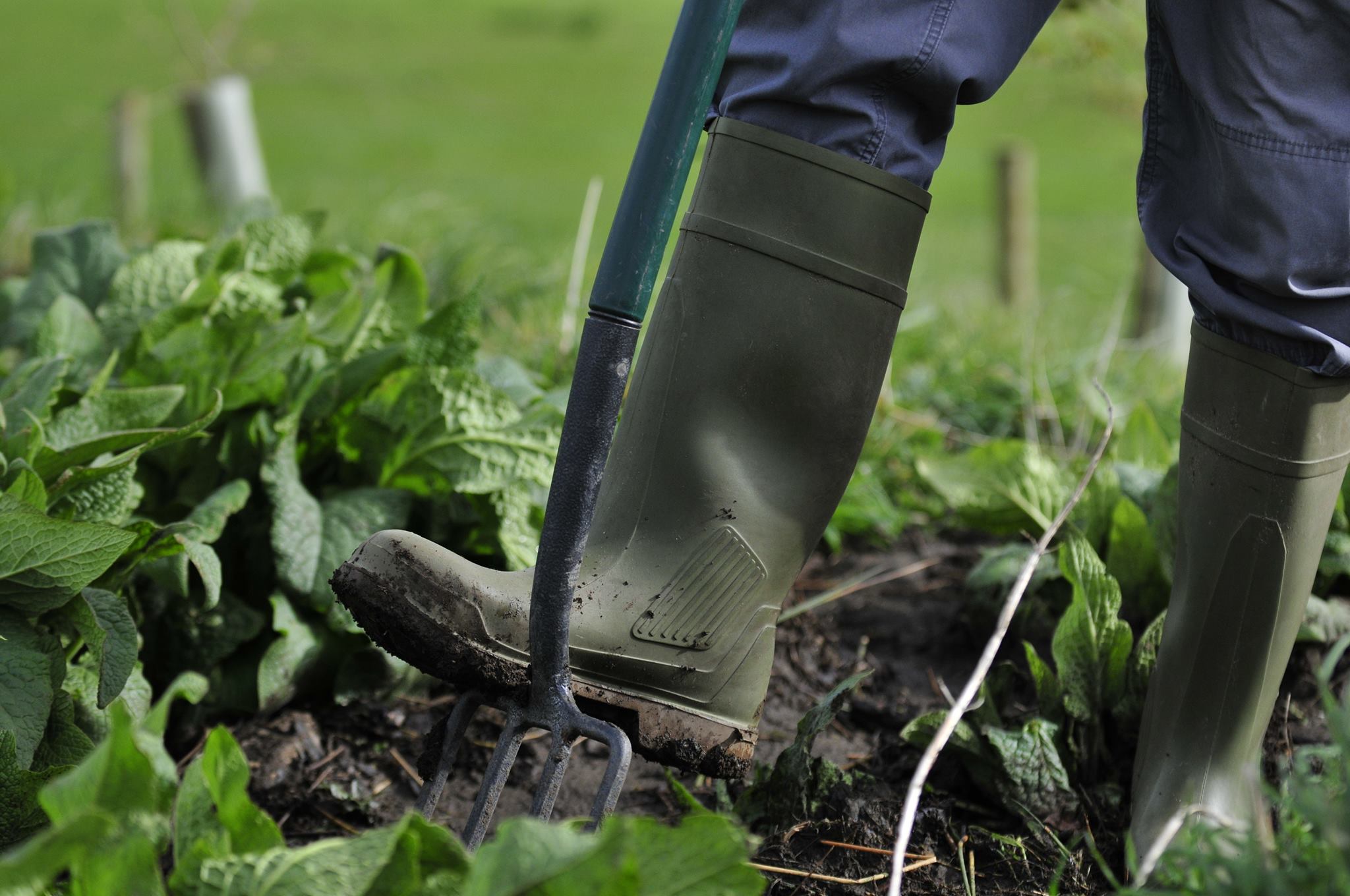 Welly Boot Socks - Hard wearing British made Mohair Socks – Capricorn ...